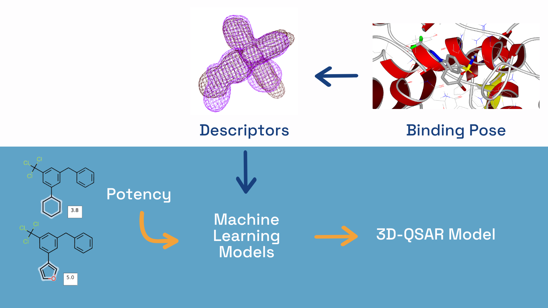 Lead Optimization In Orion® 3d Qsar